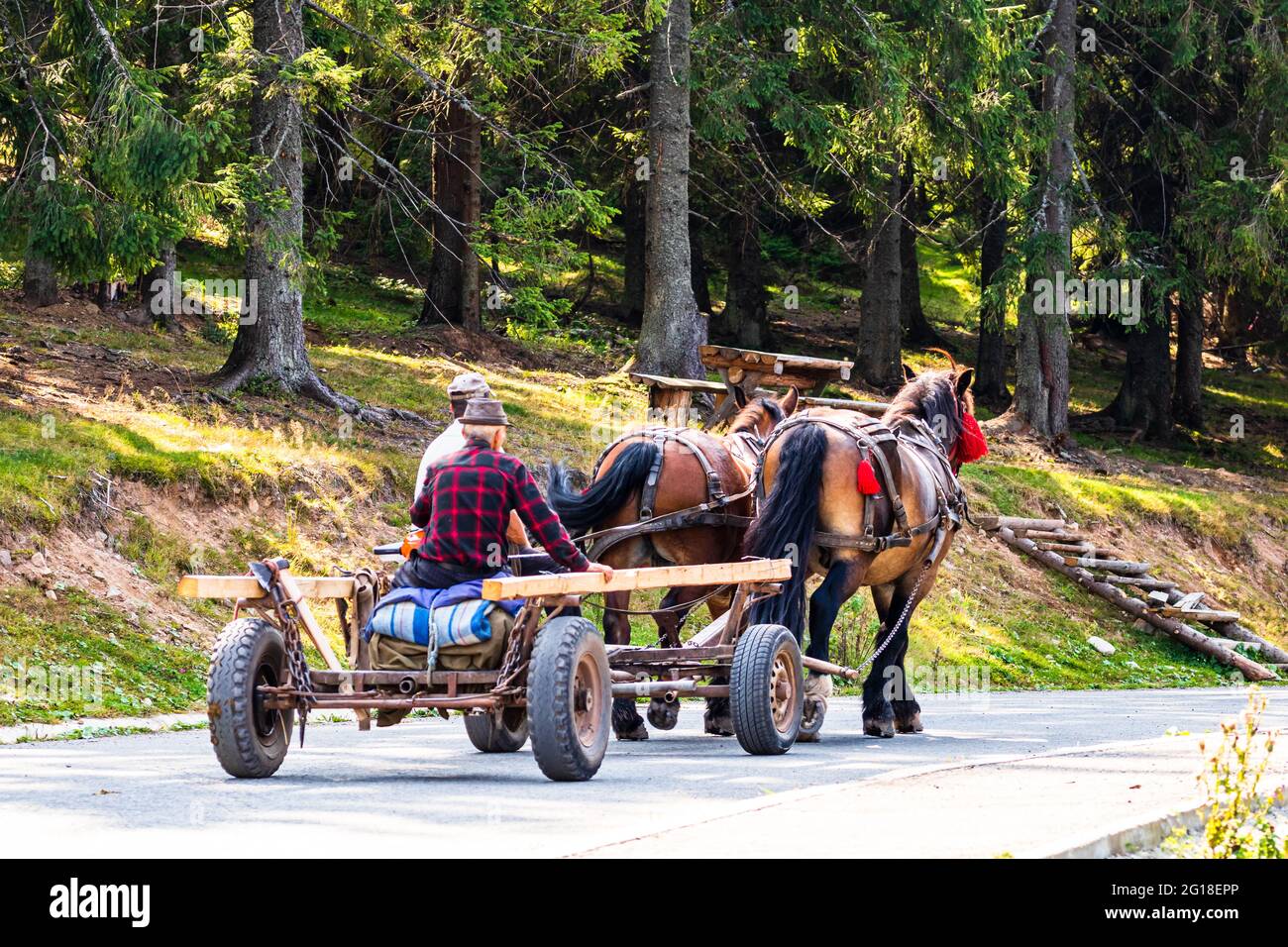 Horse carriage on mountain road in Bihor, Romania, 2021 Stock Photo - Alamy
