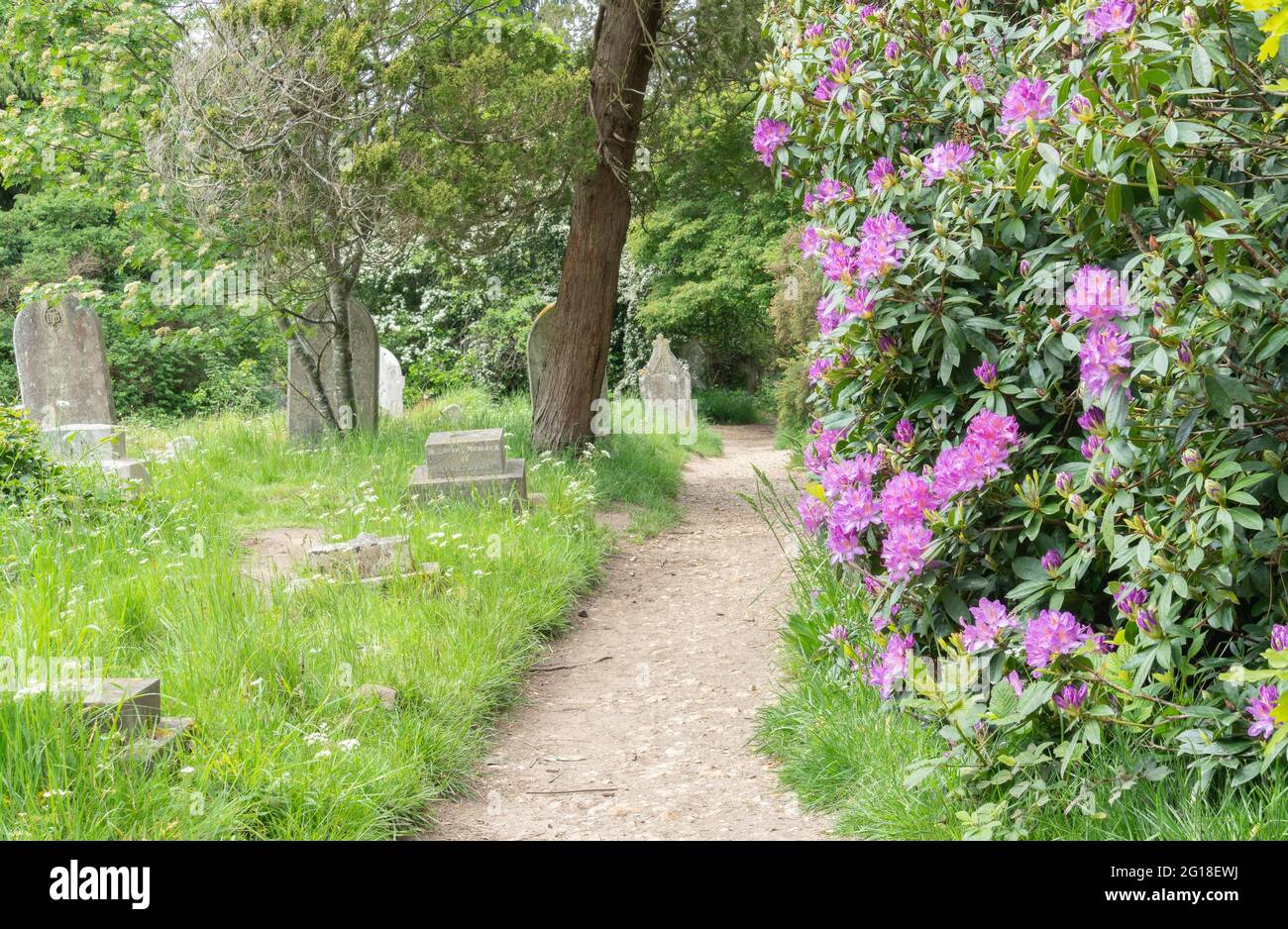 Southampton Old Cemetery in Spring Stock Photo - Alamy