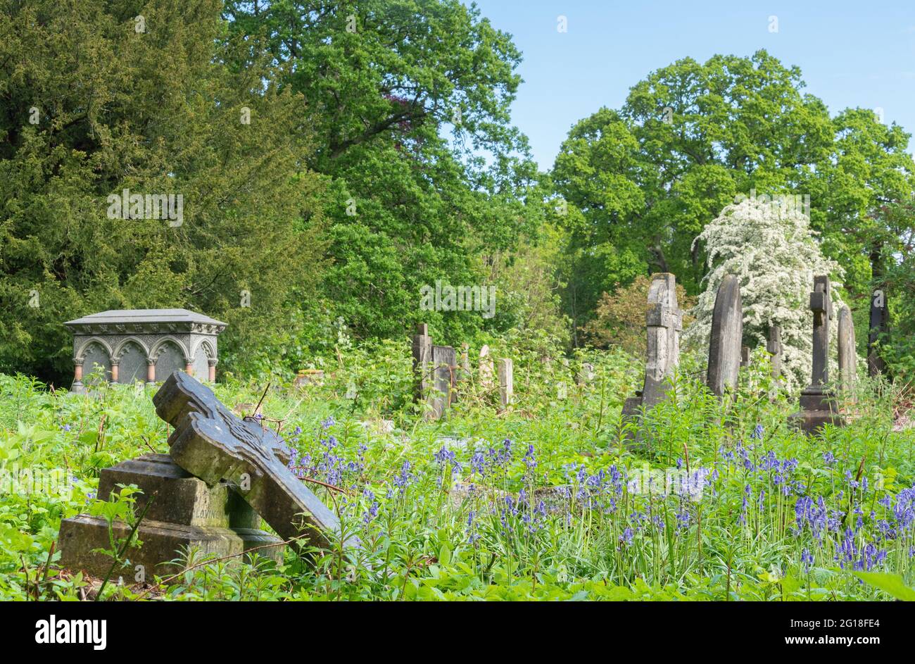 Southampton old cemetery hi-res stock photography and images - Alamy