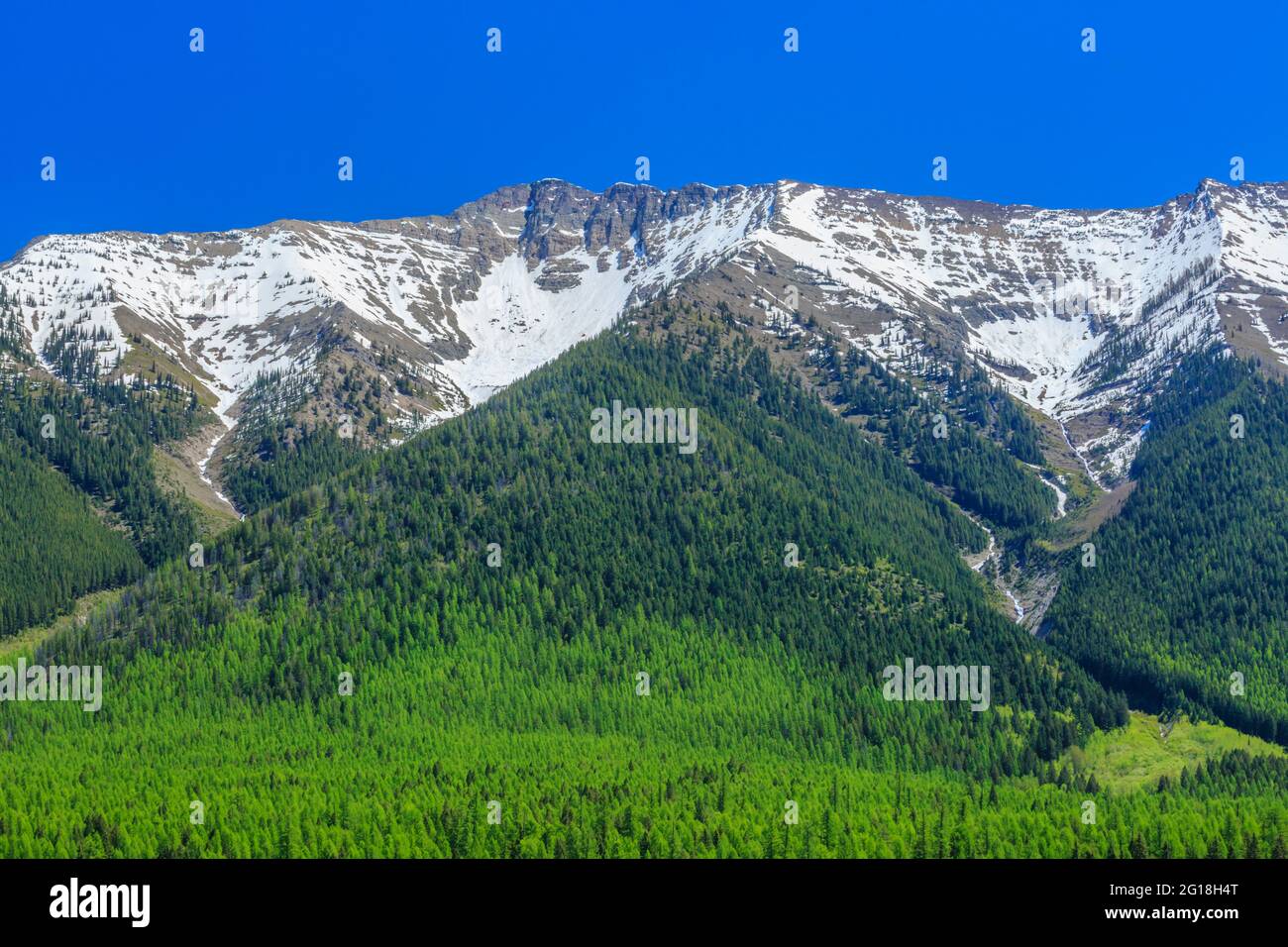 swan range crest in lolo national forest near condon, montana Stock ...