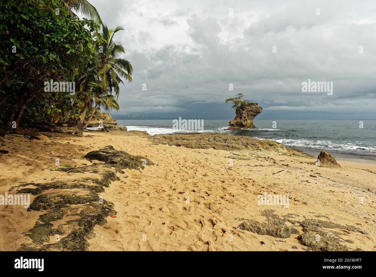 Beach palm trees costa rica hi-res stock photography and images - Alamy