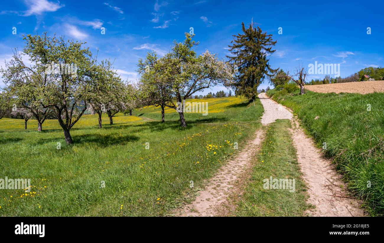 Fantastic views on the premium hiking trail on Gehrenberg near Markdorf ...