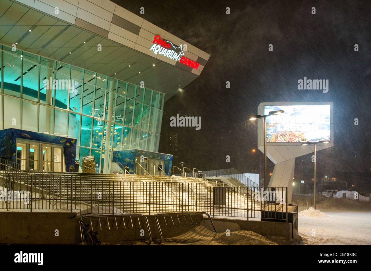Toronto Winter 2013, Downtown Scenes, Canada Stock Photo - Alamy
