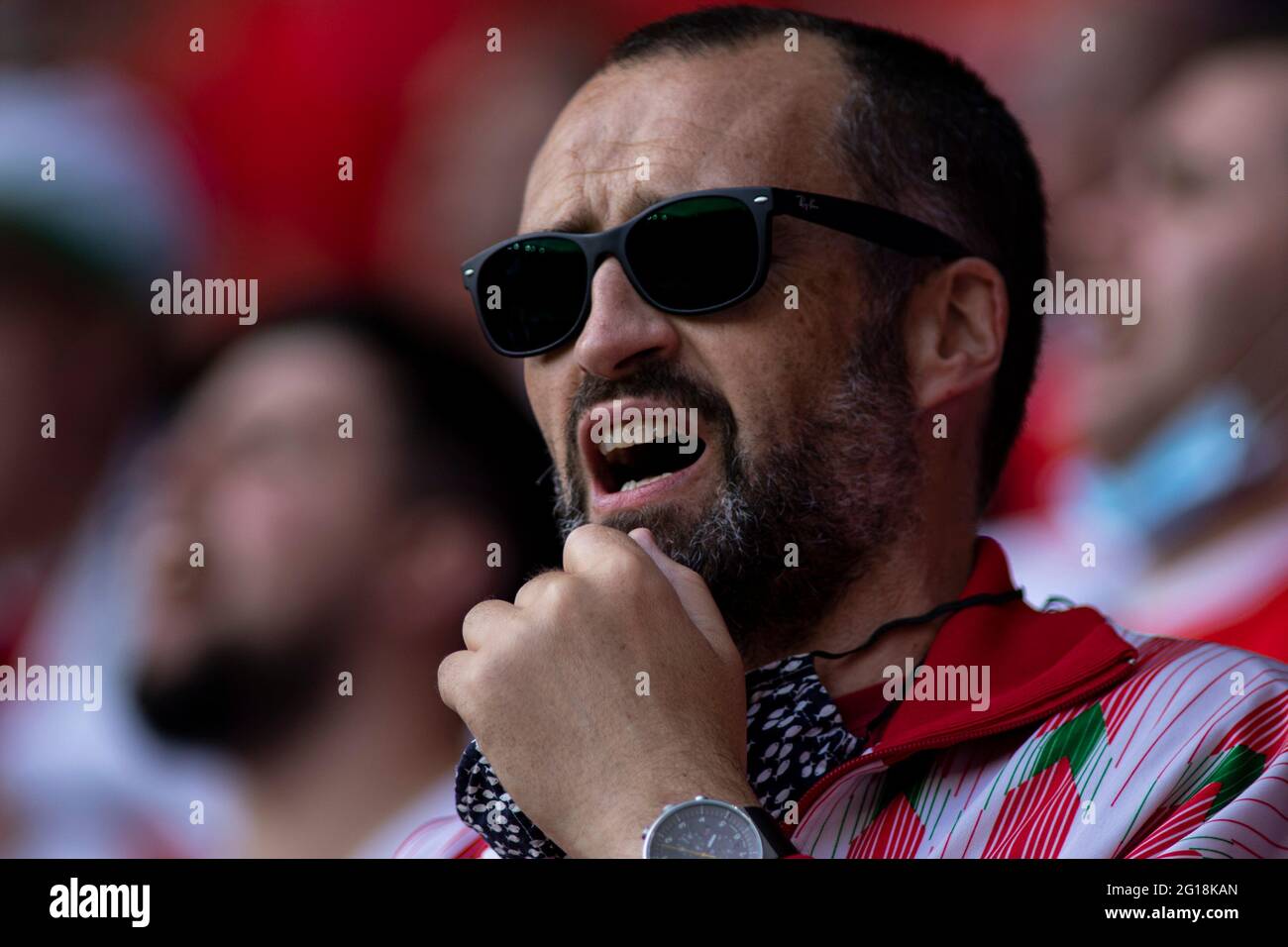 Welsh fan hi-res stock photography and images - Alamy