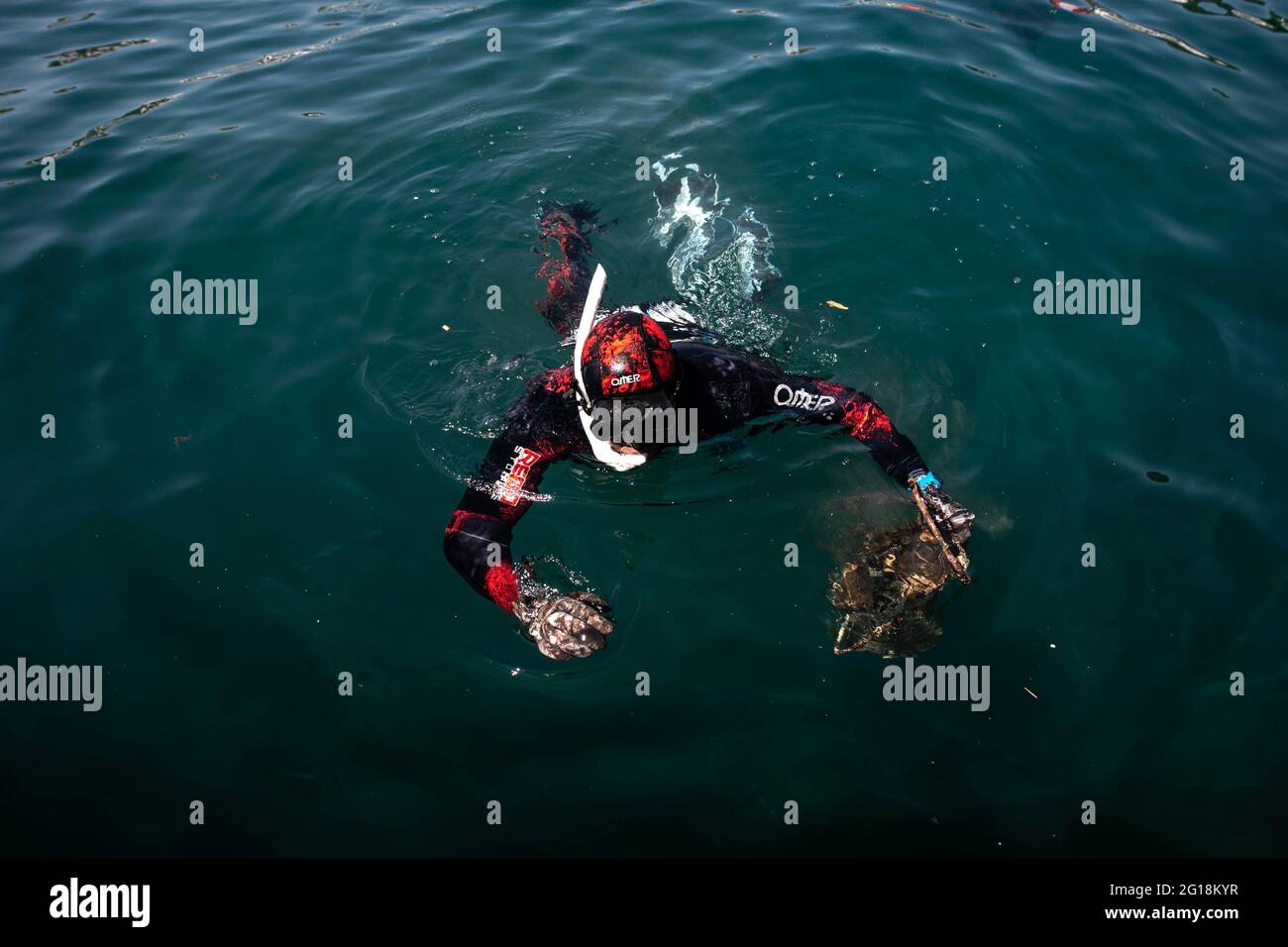 Rafina, Greece. 5th June, 2021. A diver collects plastic waste at ...