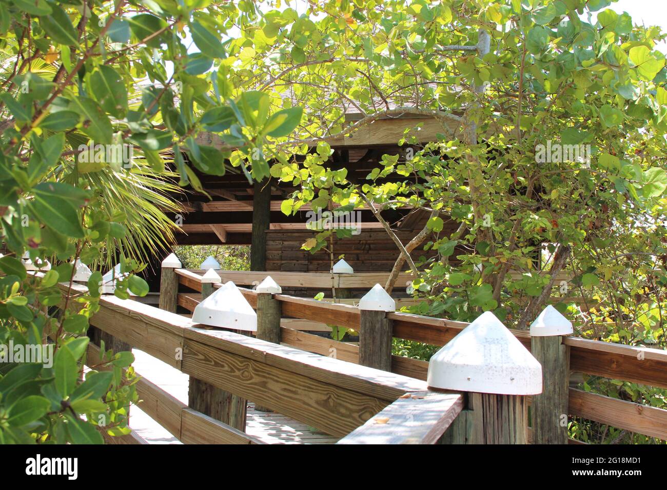 nature pathway and deck Stock Photo - Alamy