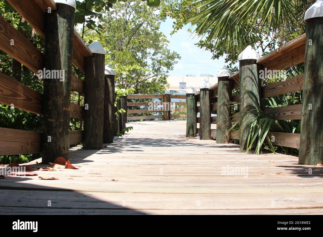 nature pathway and deck Stock Photo - Alamy