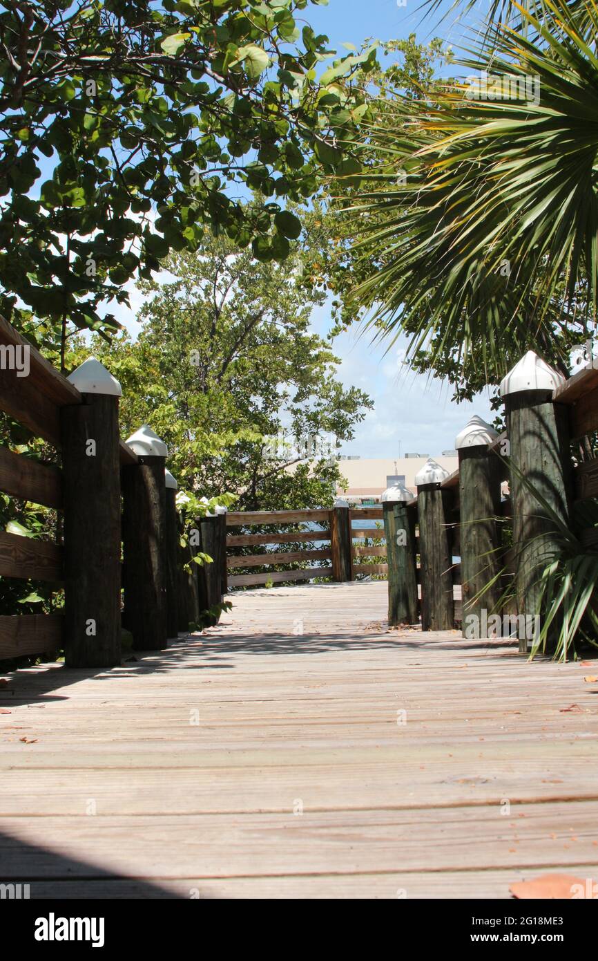 nature pathway and deck Stock Photo - Alamy
