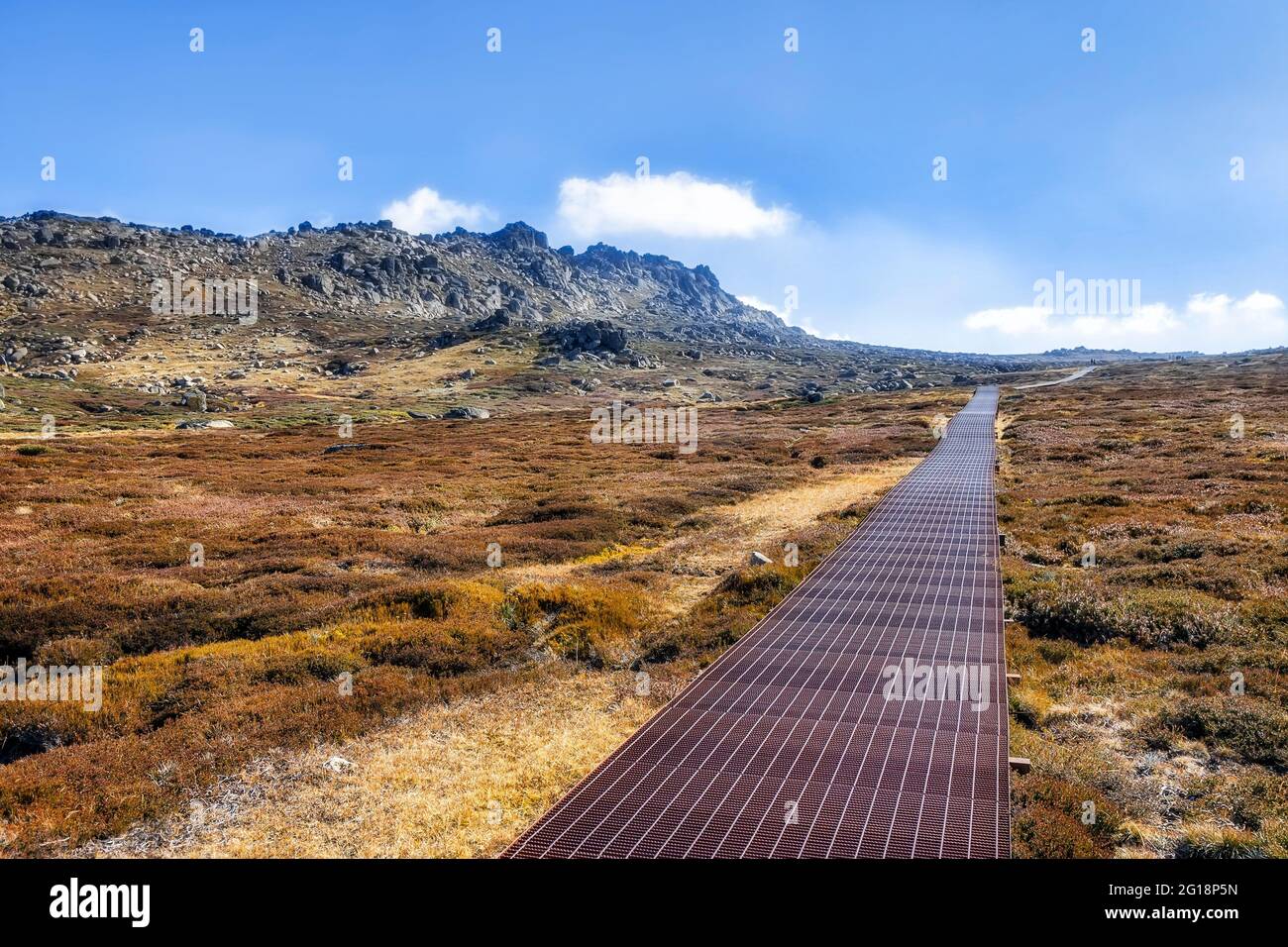 Elevated boardwalk high in the Snowy Mountains of Australia - walking ...