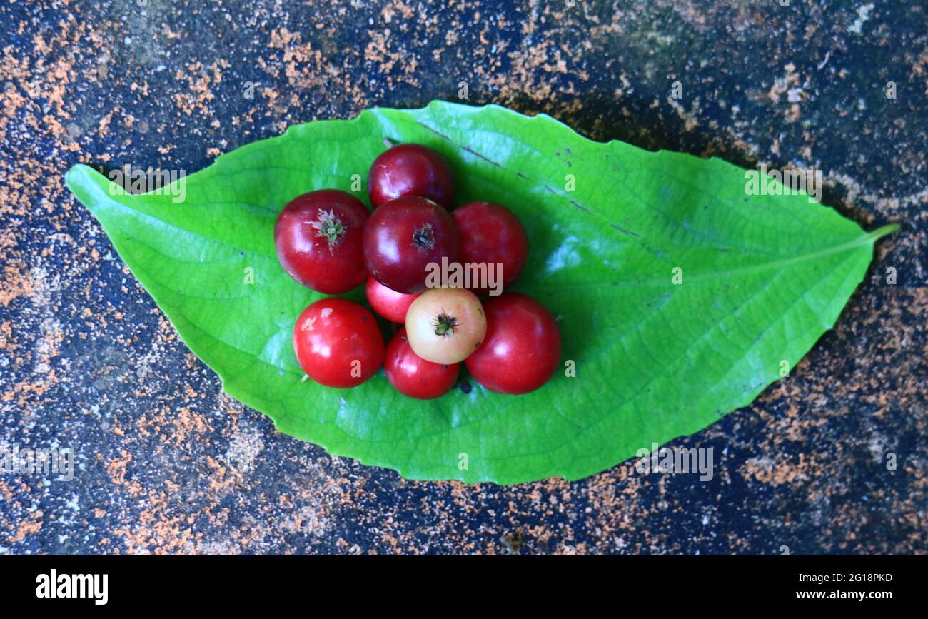 Lobi people hi-res stock photography and images - Alamy