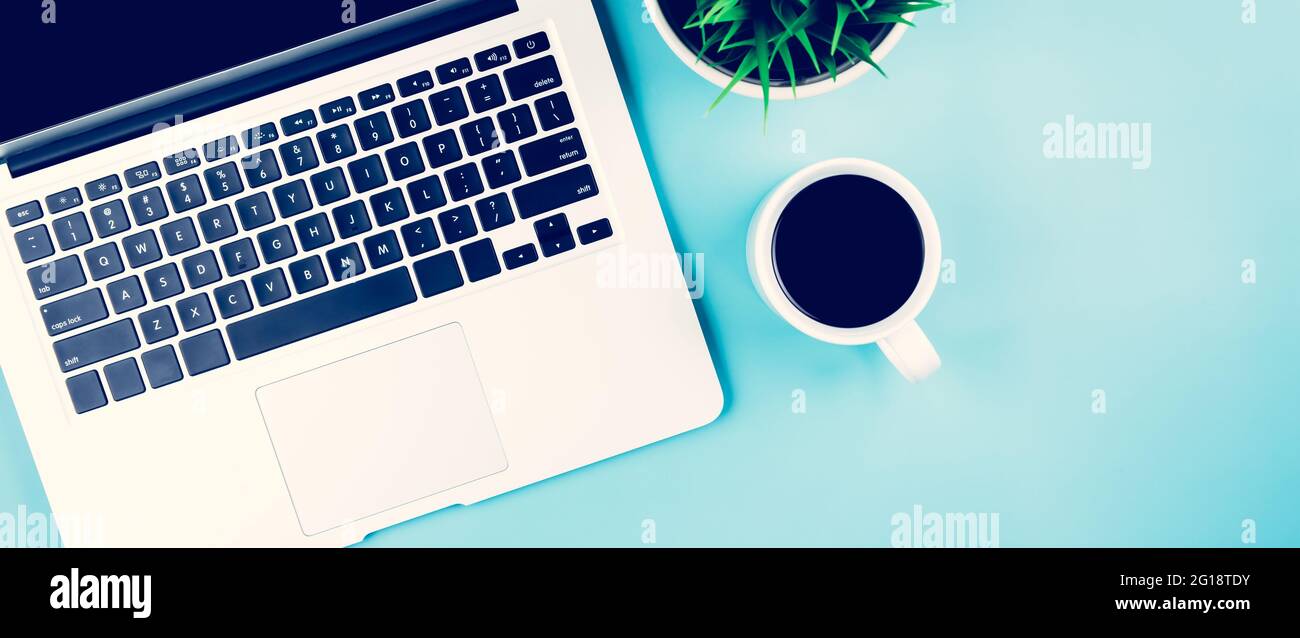 Flat lay of Laptop computer and plant and cup of coffee on desk in ...