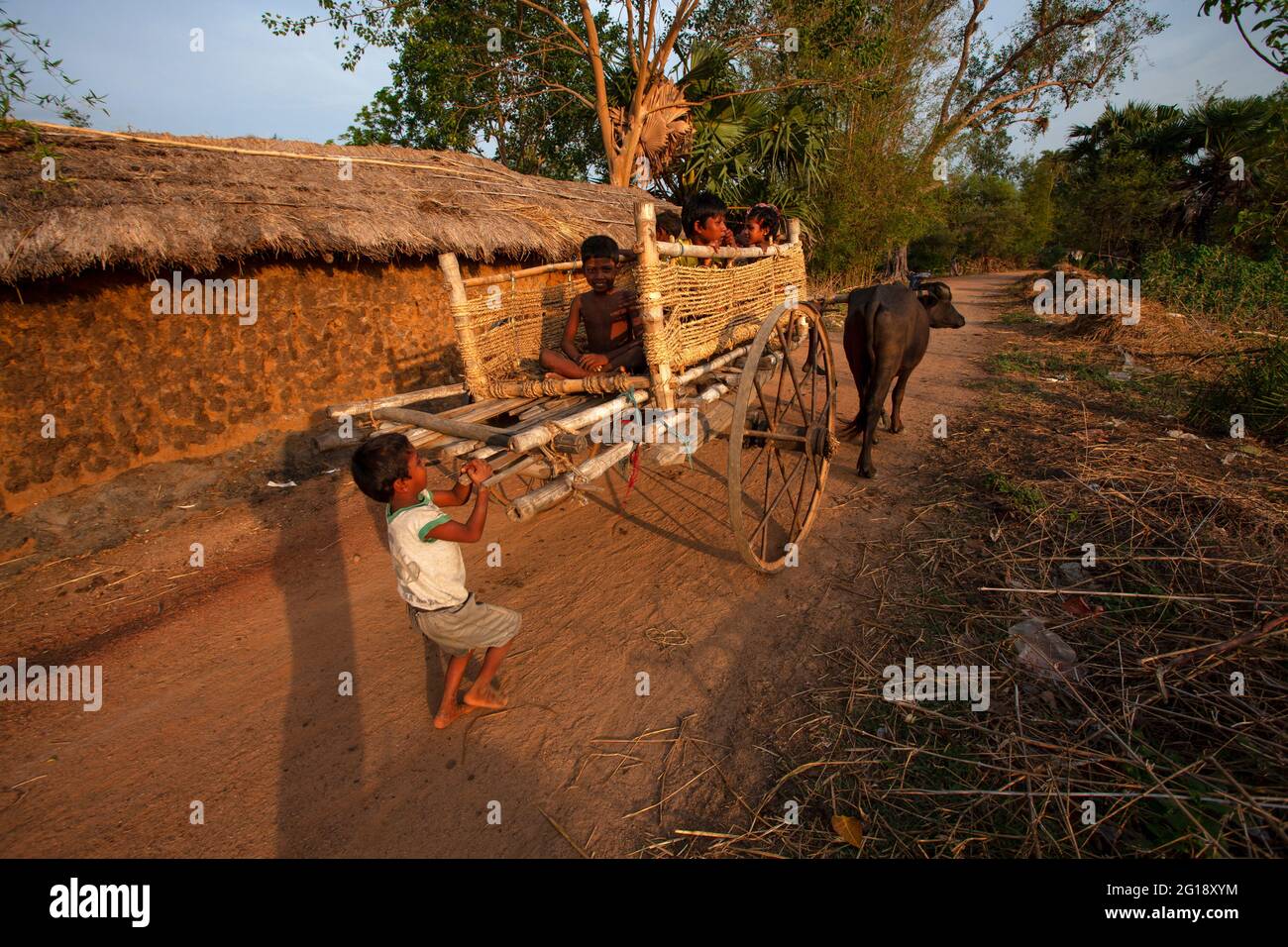 Rural Indian boys riding and making fun with bull carts Stock Photo - Alamy
