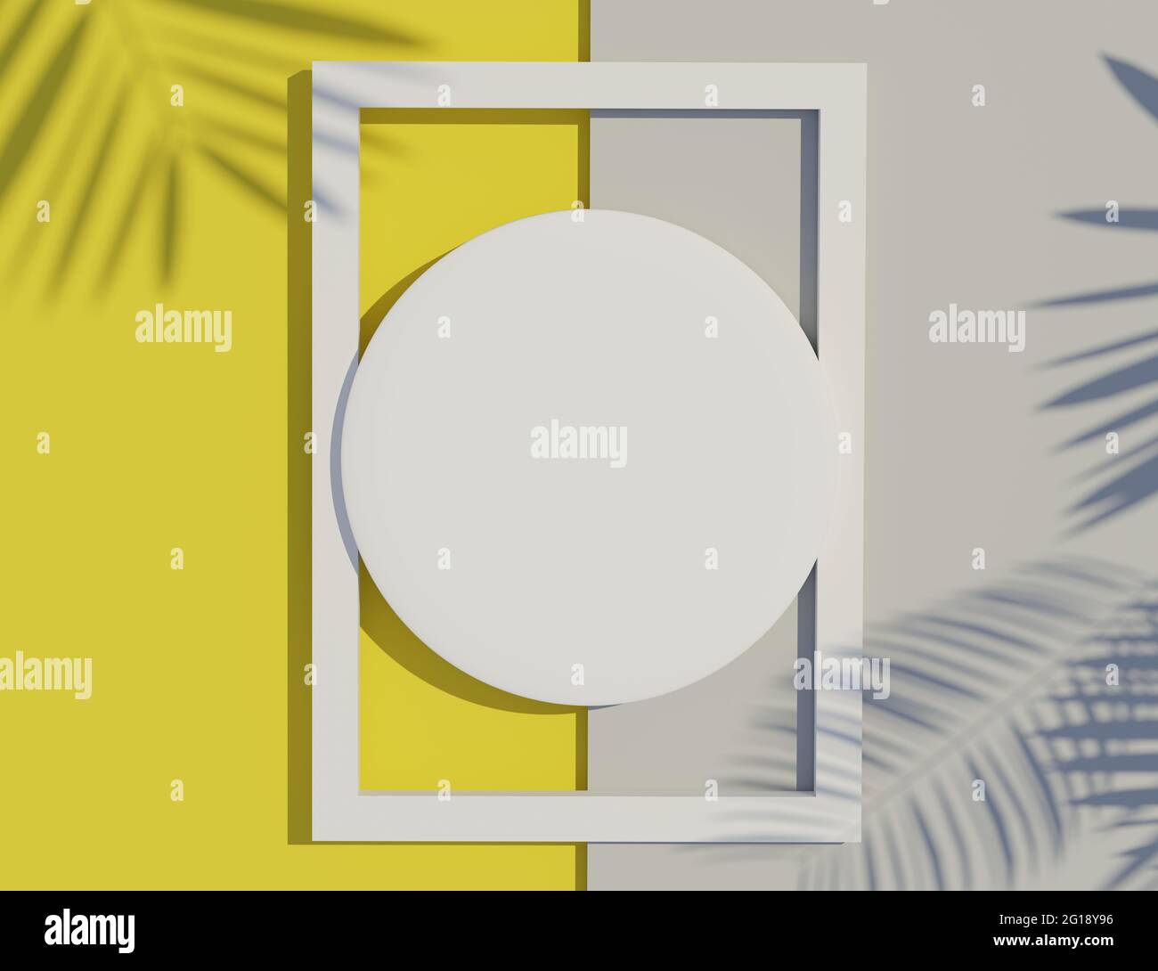 3d render top view of white blank cylinder frame for mock up and ...