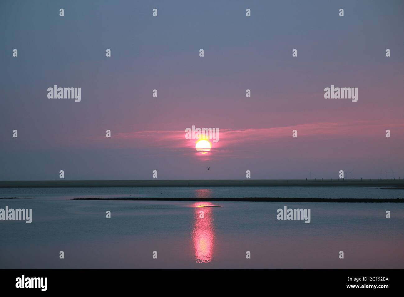 Colorful sunset at a beach at the North Sea Stock Photo - Alamy
