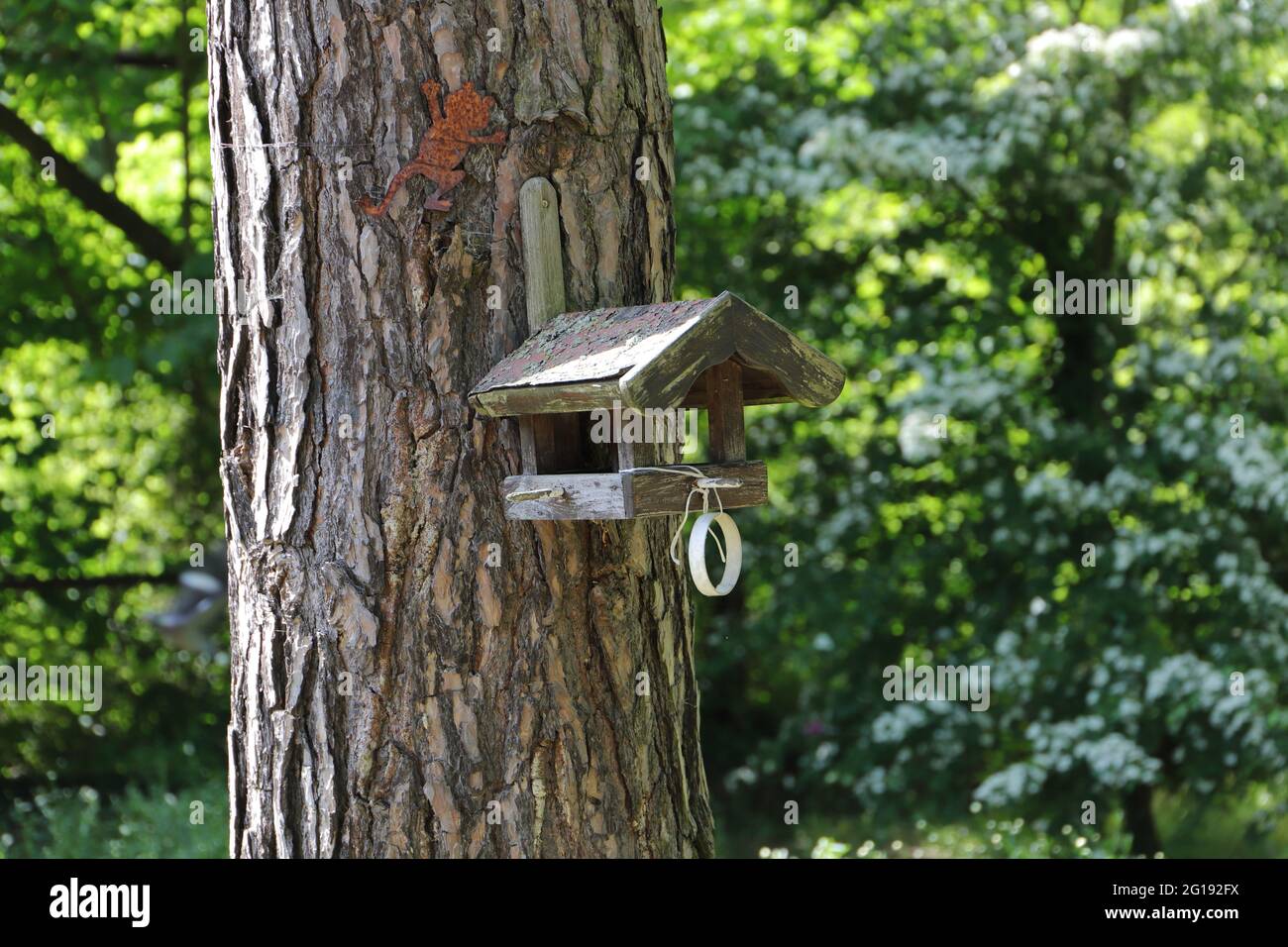 Bird box nailed to a tree hi-res stock photography and images - Alamy