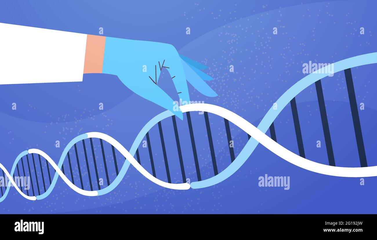human hand holding genetic DNA helical molecule structure clinic ...