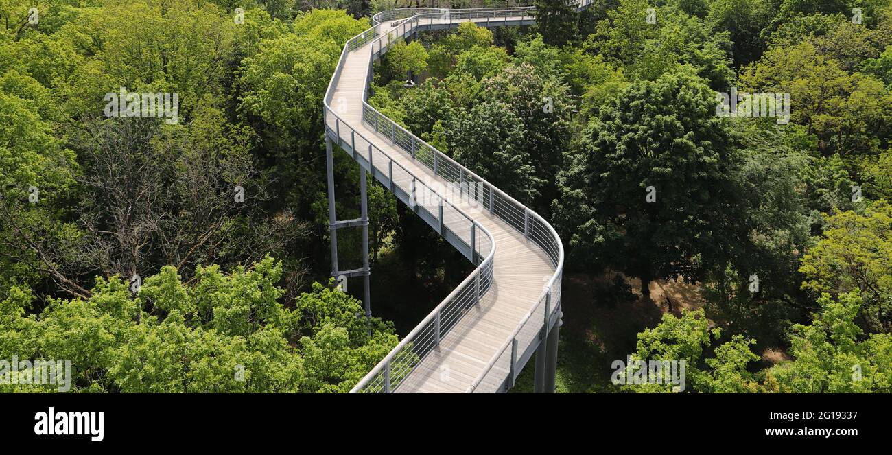 Path in treetops hi-res stock photography and images - Alamy