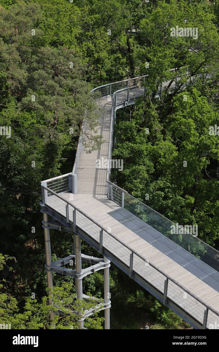 Treetop walkway through forest hi-res stock photography and images - Alamy