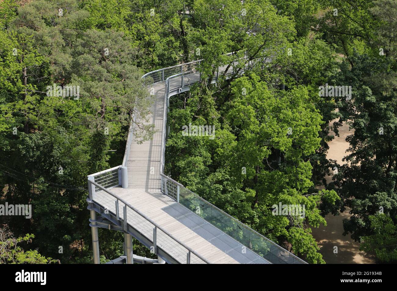 Pathway through trees tower hi-res stock photography and images - Alamy