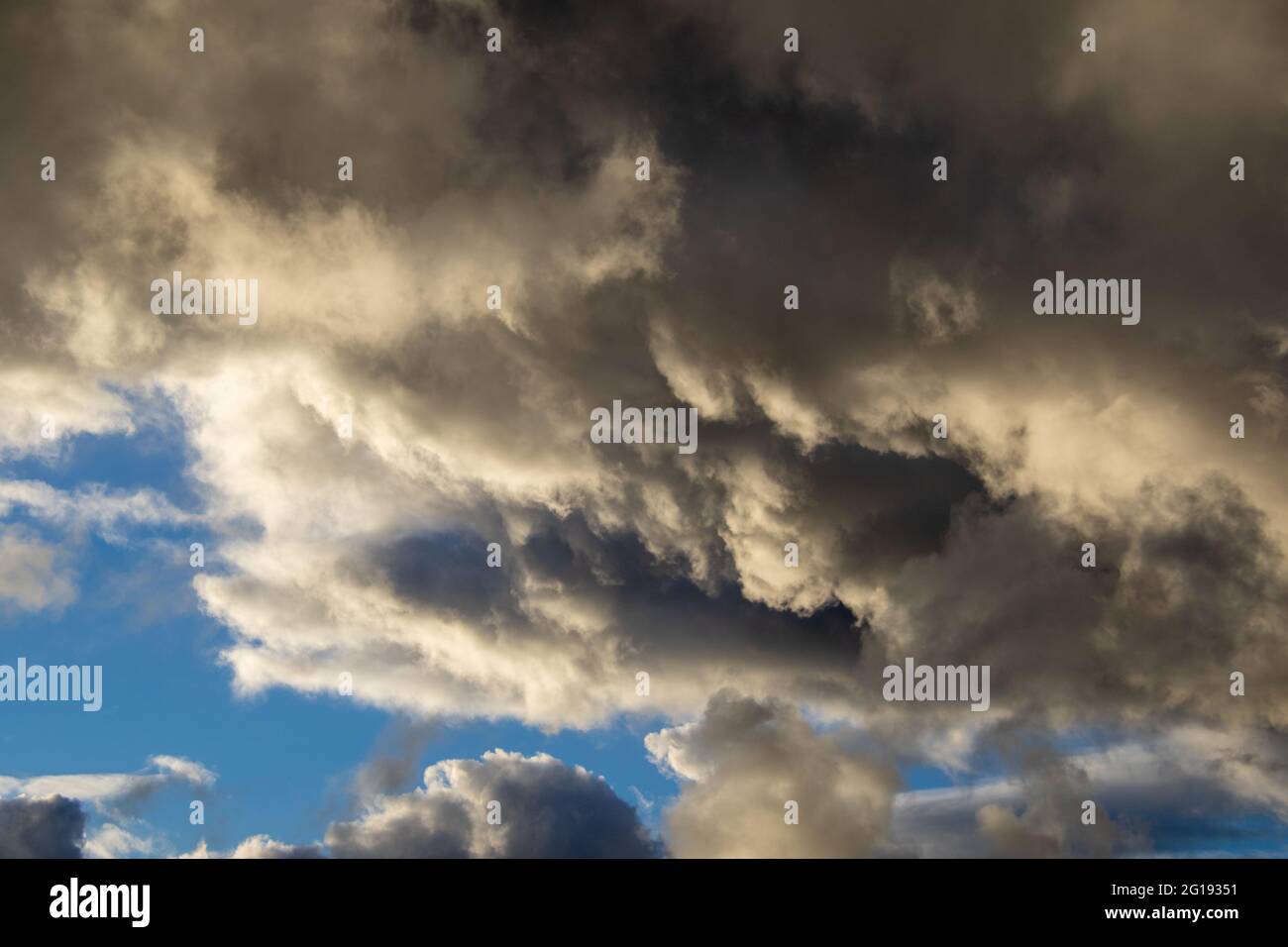 Harkerville forest hi-res stock photography and images - Alamy