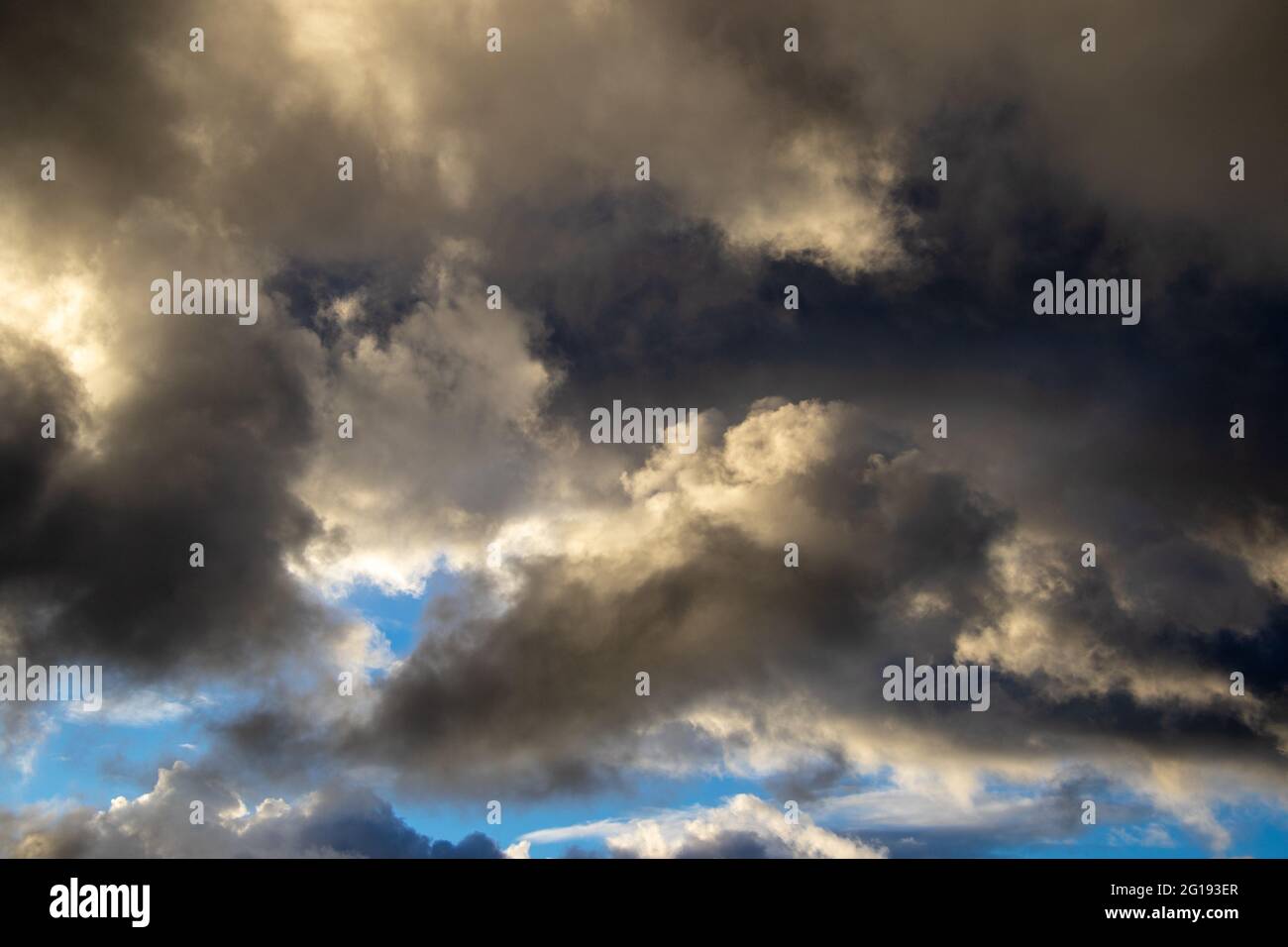 Harkerville forest hi-res stock photography and images - Alamy