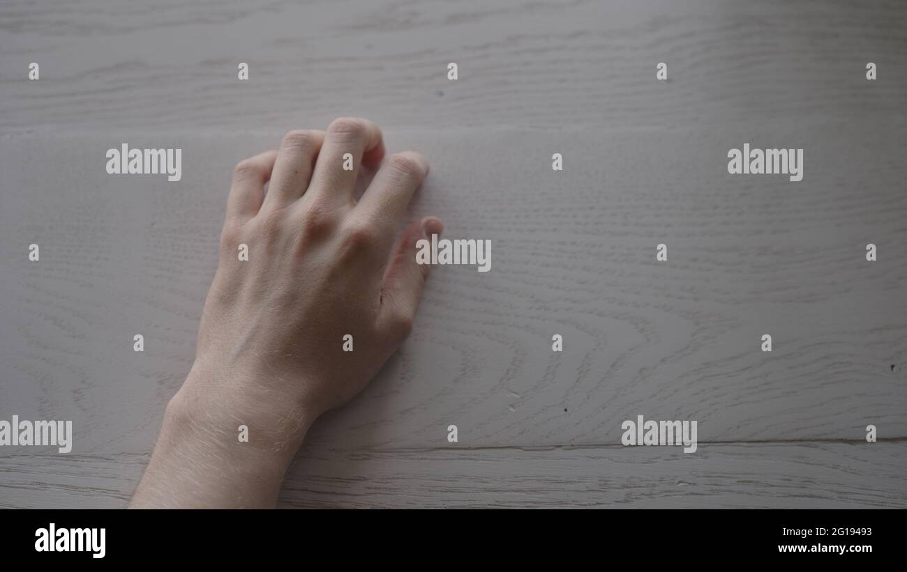 Taps On Window Bullet Tooth Tony