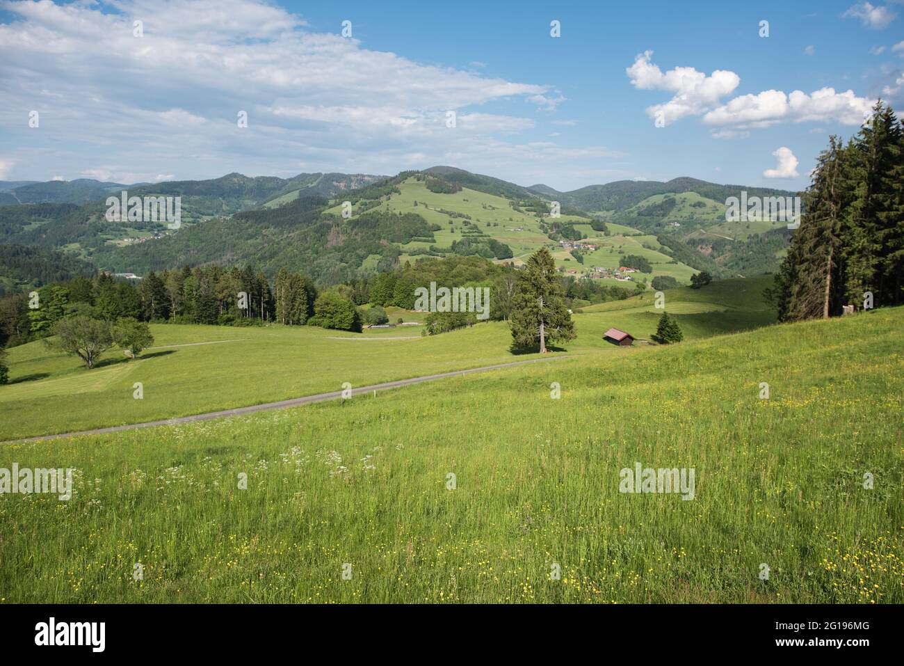 landscape in the southern black forest in germany Stock Photo - Alamy