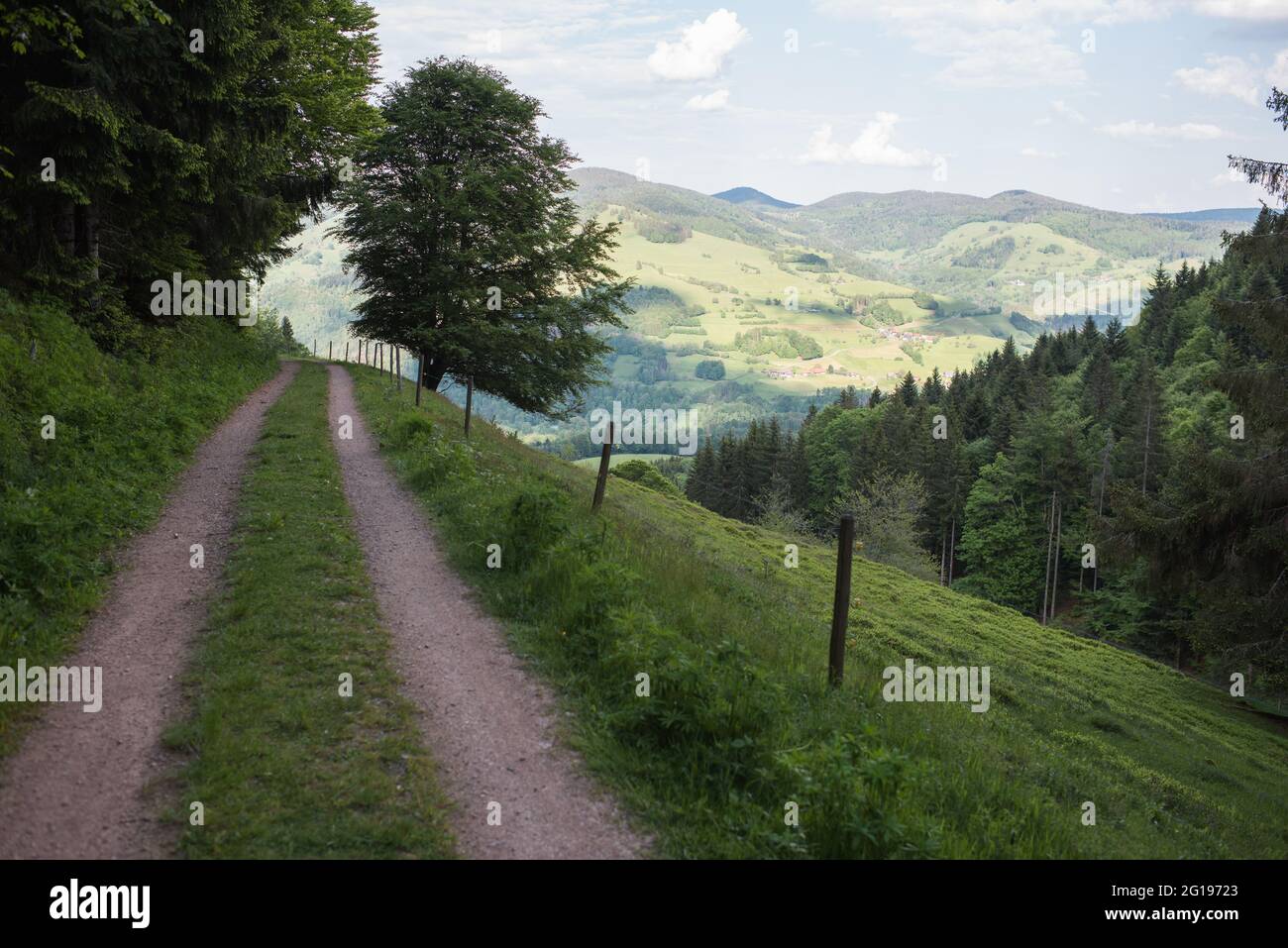 landscape in the southern black forest in germany Stock Photo - Alamy