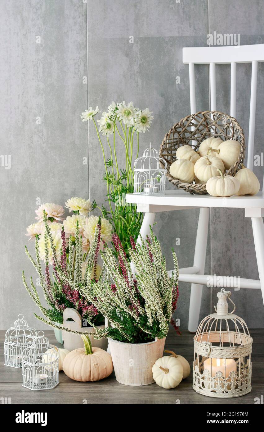 Simple wooden cage hi-res stock photography and images - Alamy