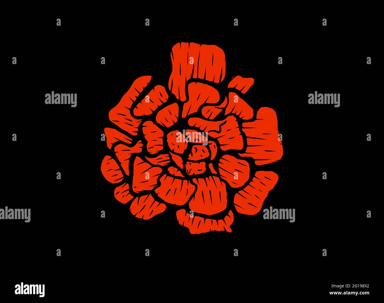 Abstract vector illustration of a marigold flower. Modern floral art ...