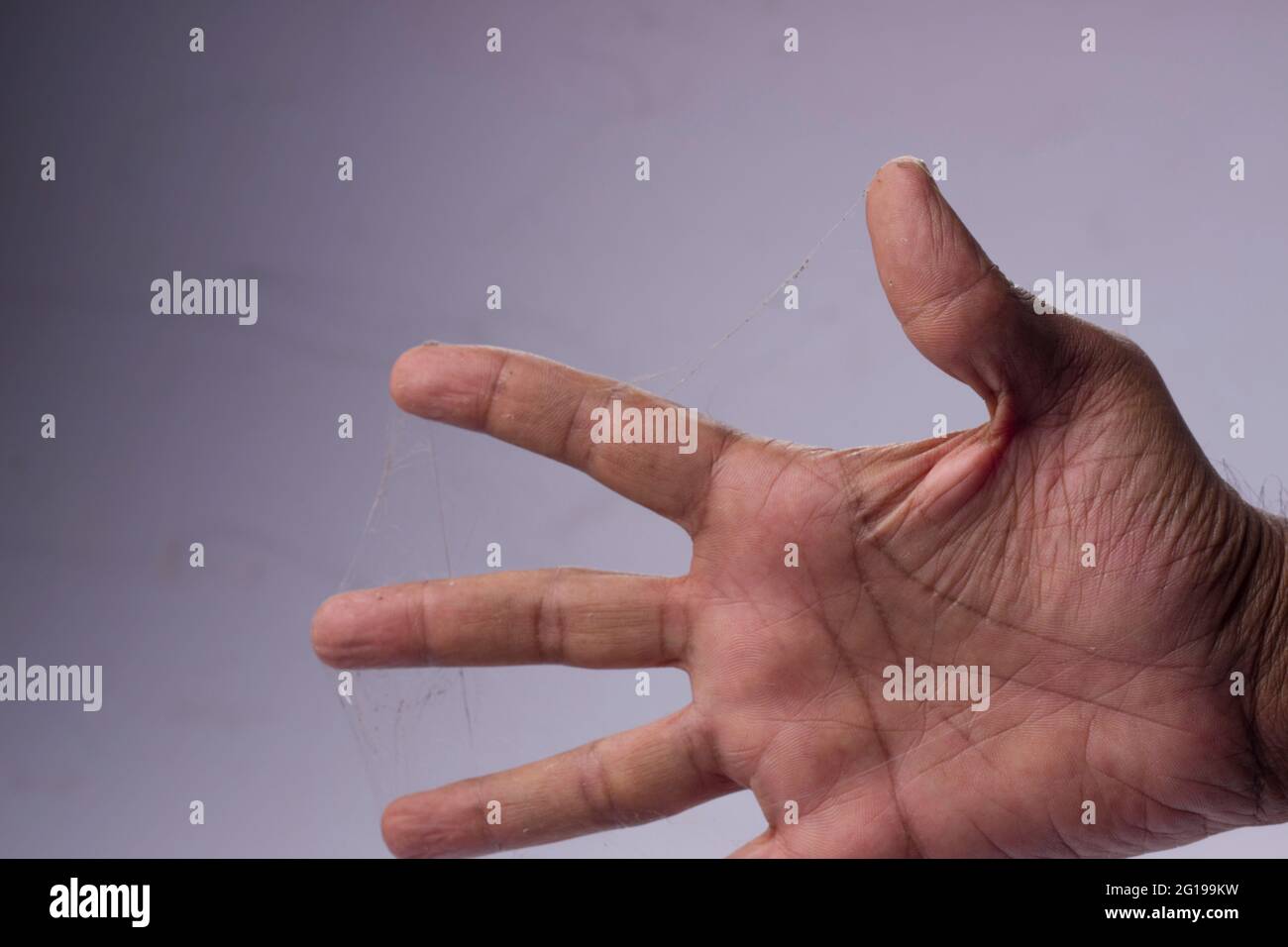 A man fingers covered with spider web on white background Stock Photo ...