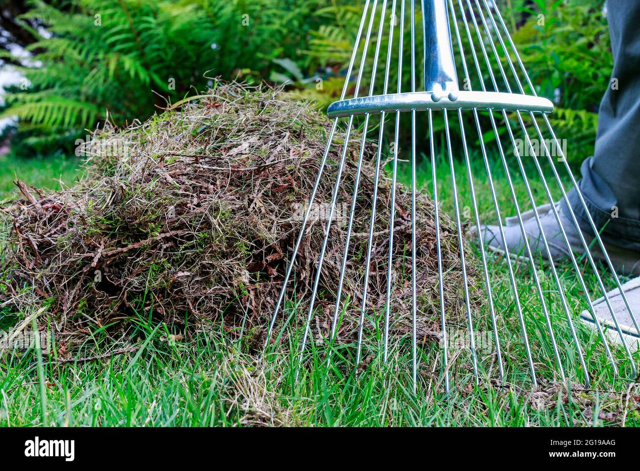 Lawn raking. Work in the garden. Autumn time Stock Photo - Alamy