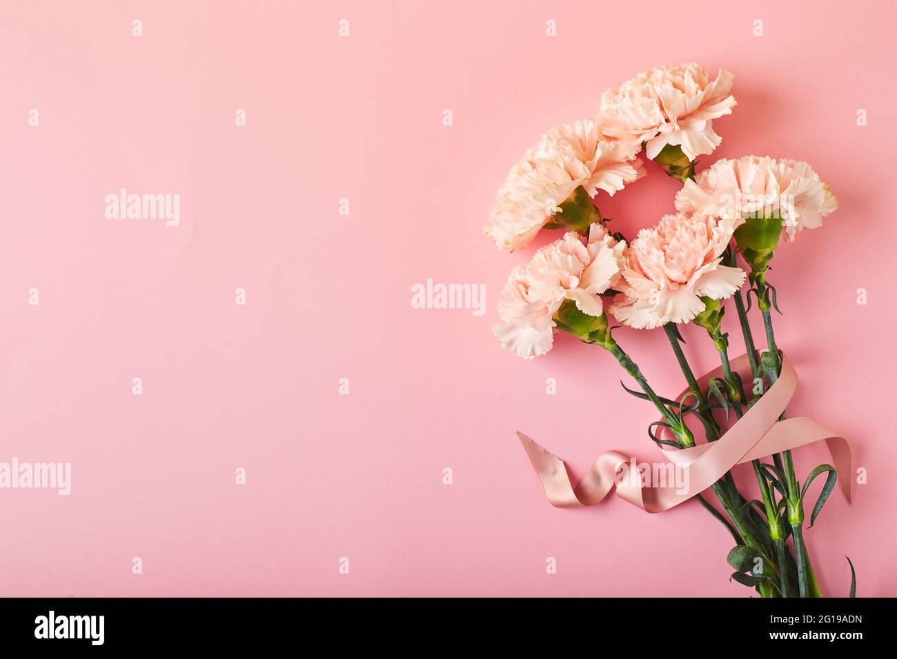 Bouquet of pink carnations. Design concept of holiday greeting with ...