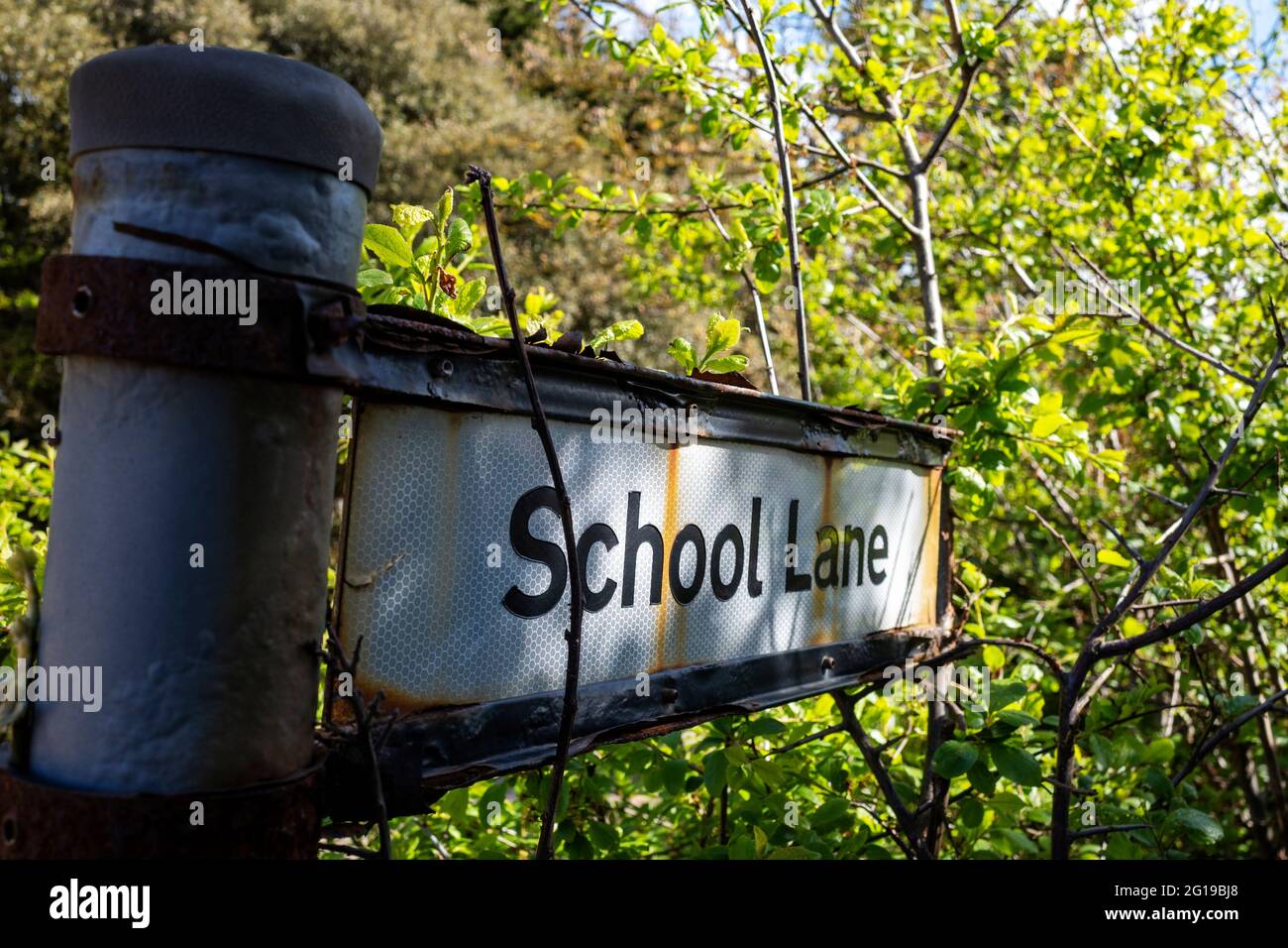Overgrown road signs hi-res stock photography and images - Alamy