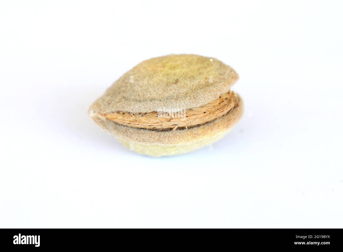 Almond with kernels Isolated on white background. Raw fresh almonds ...