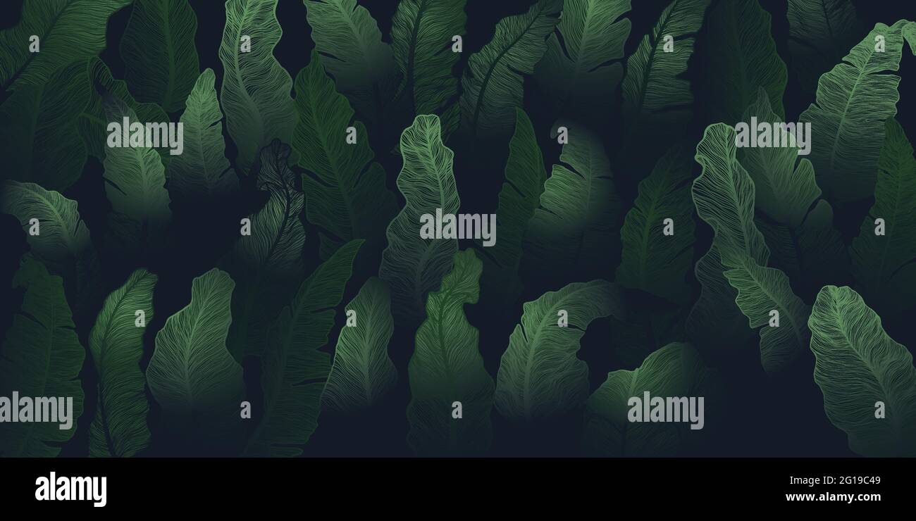 Hand drawn background with exotic tropical leaves. Horizontal banana ...