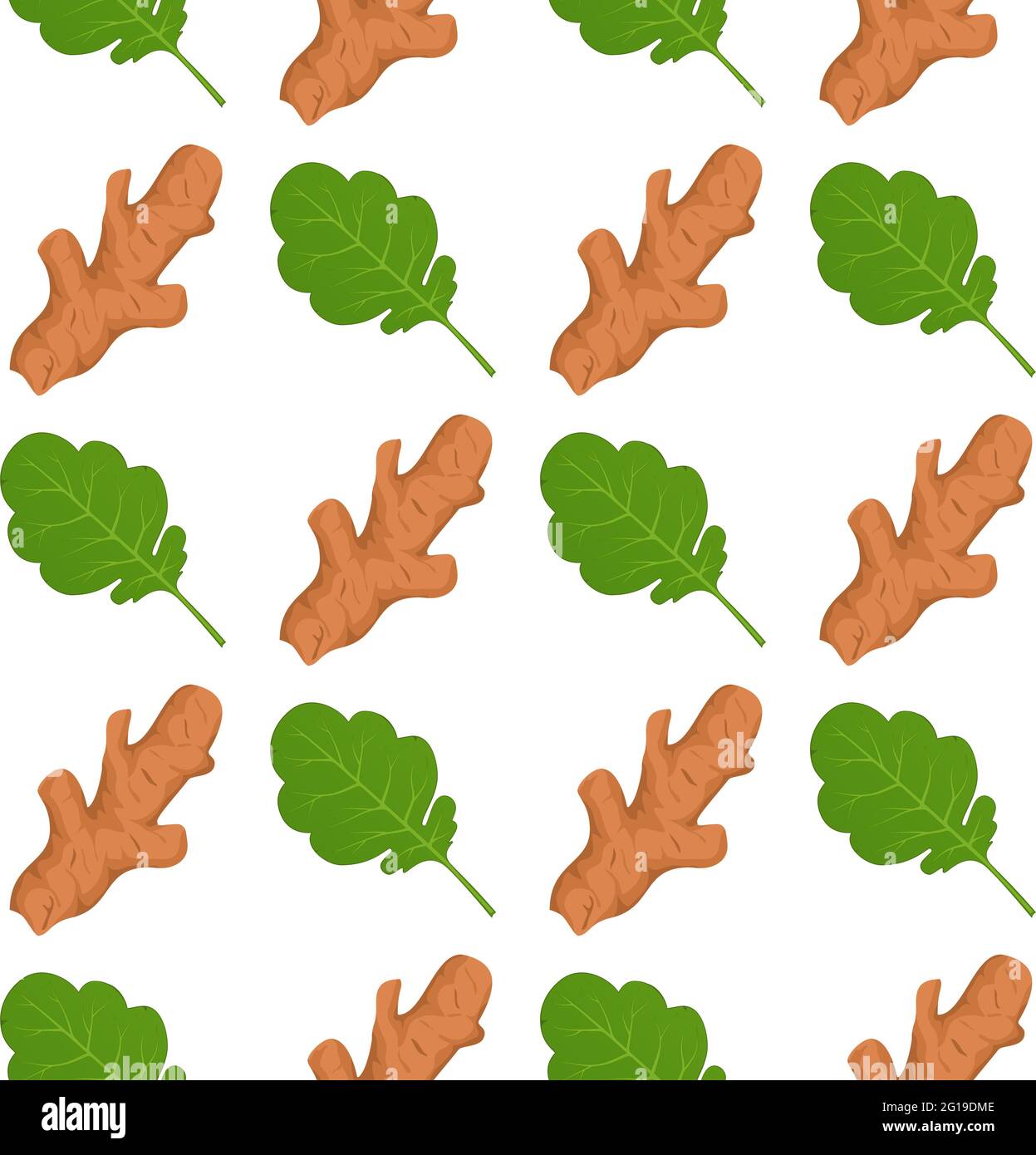 Ginger root fabric Stock Vector Images - Alamy