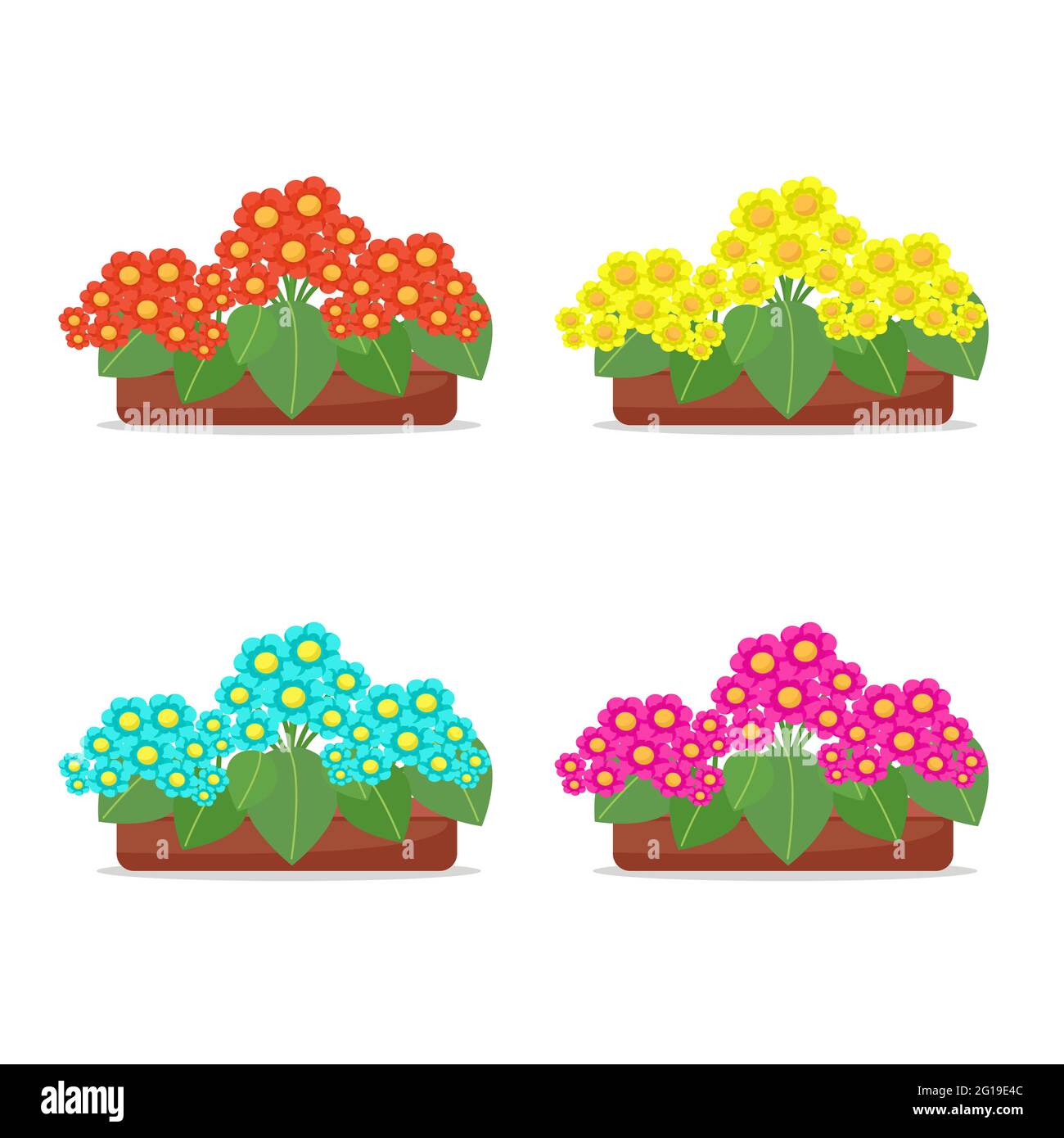 Red flowers in a pot, houseplants, cute flowers, vector illustration in ...