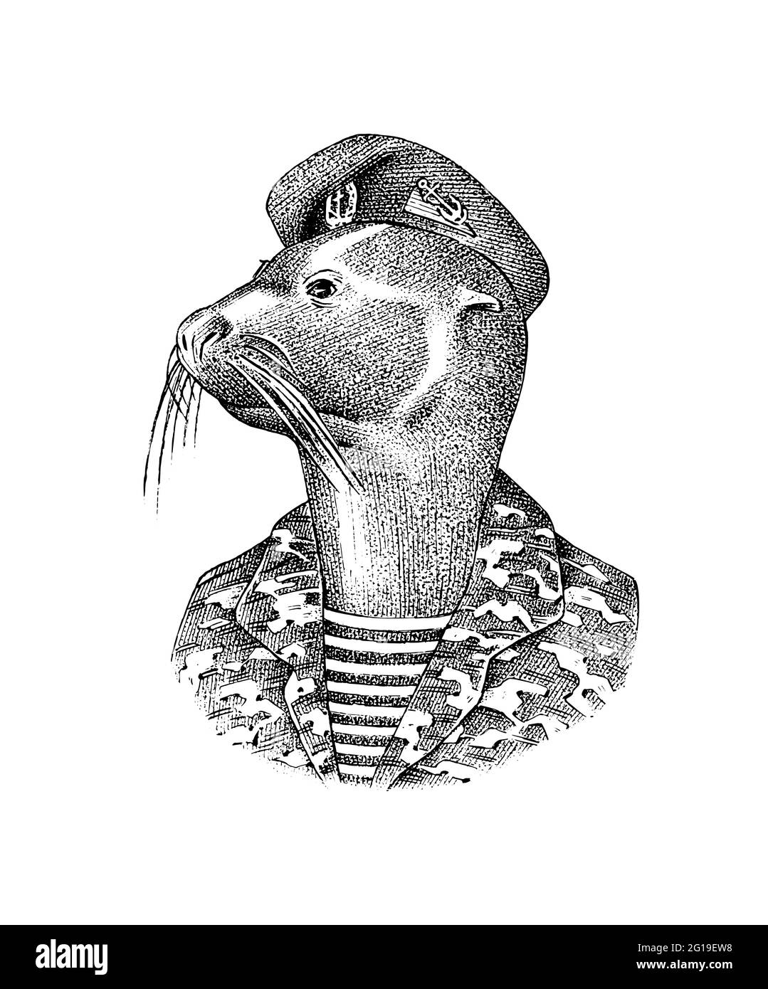 Fur seal man in military uniforms. Marine mammal. Fashion animal ...