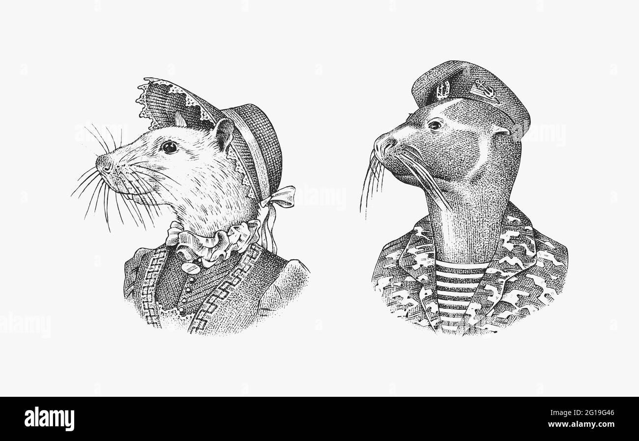 Seal look Black and White Stock Photos & Images - Alamy