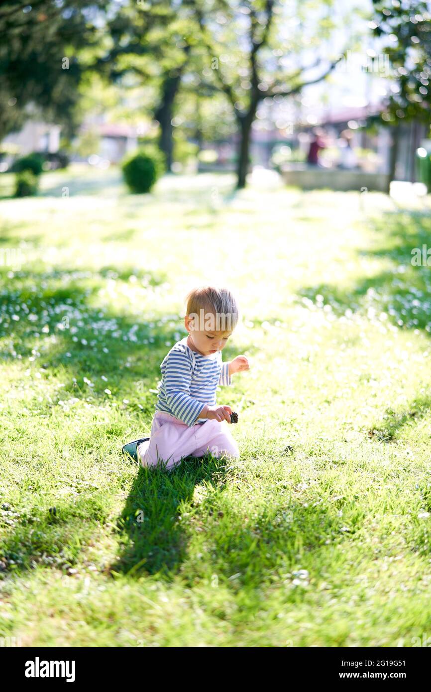 Small child sits on his knees in a meadow and holds a pine cone Stock ...