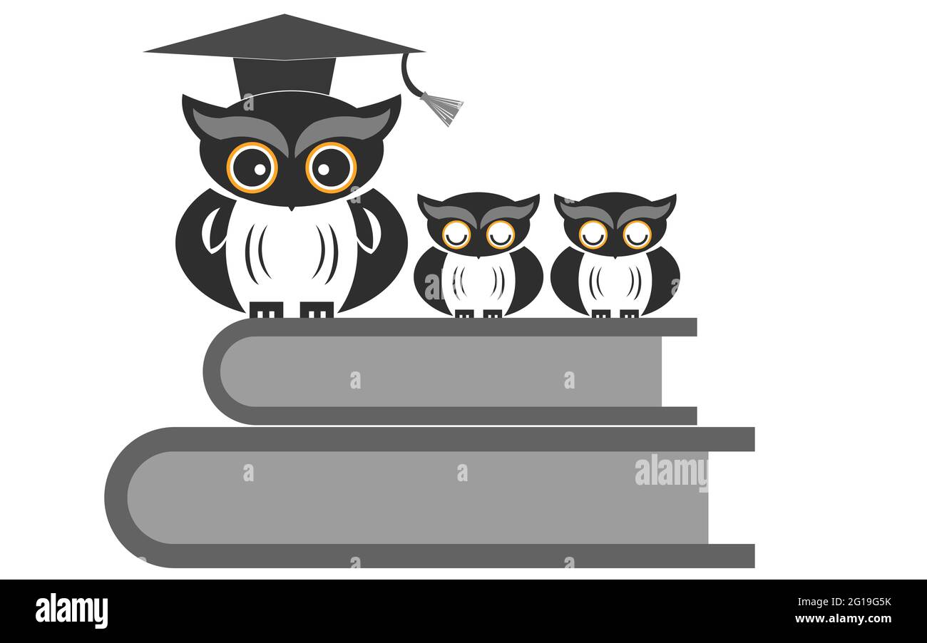 Owl sitting on books isolated, 3D rendering Stock Photo - Alamy