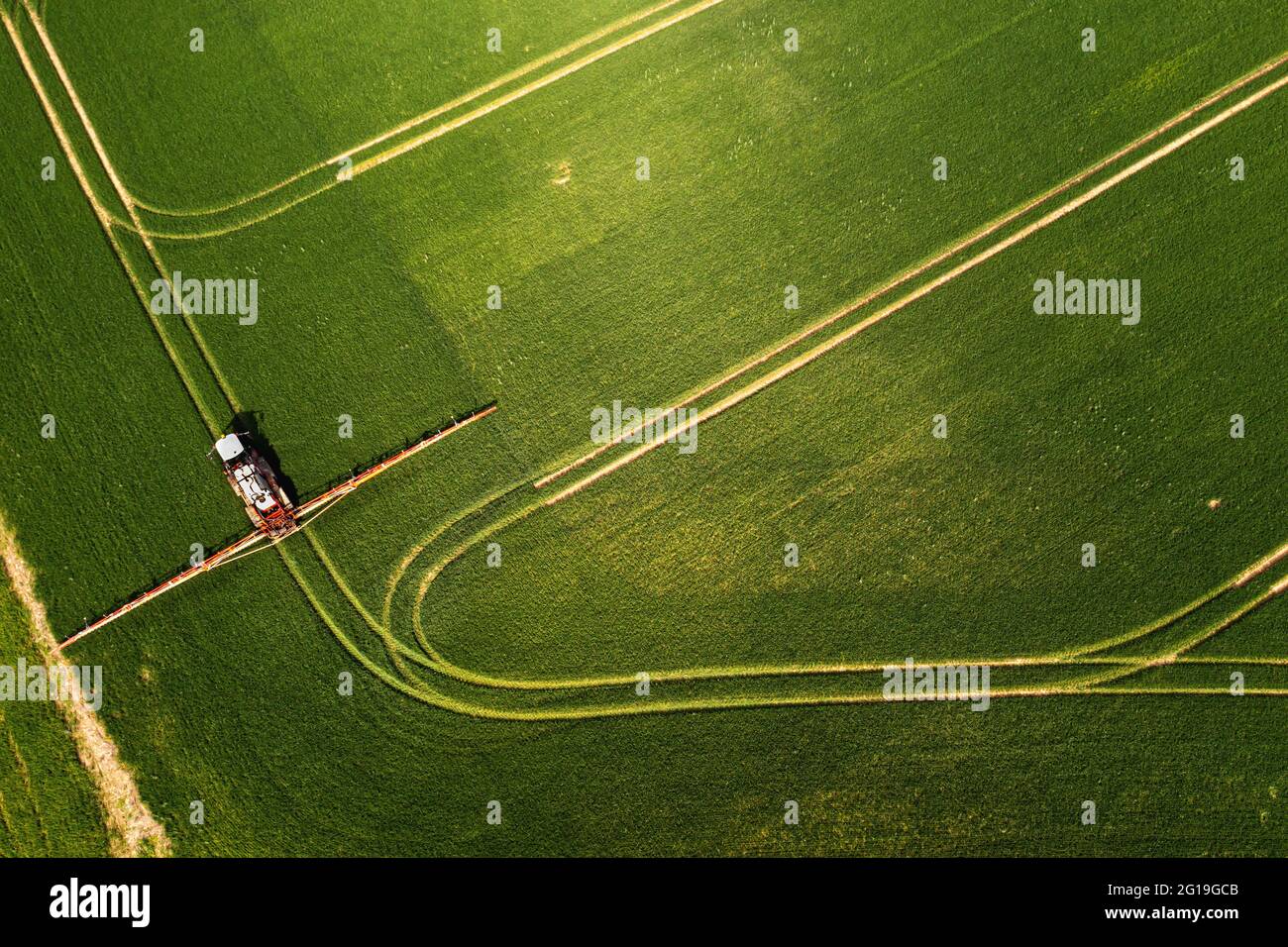 Top down large field grass hi-res stock photography and images - Alamy