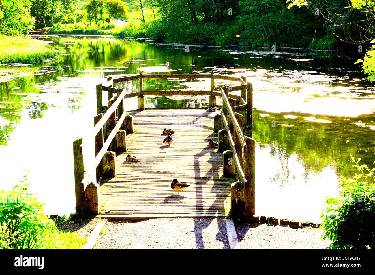 Parc Menai High Resolution Stock Photography and Images - Alamy