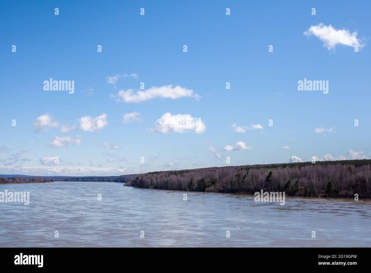 A beautiful, wide river in the spring among the forests. Quiet and ...