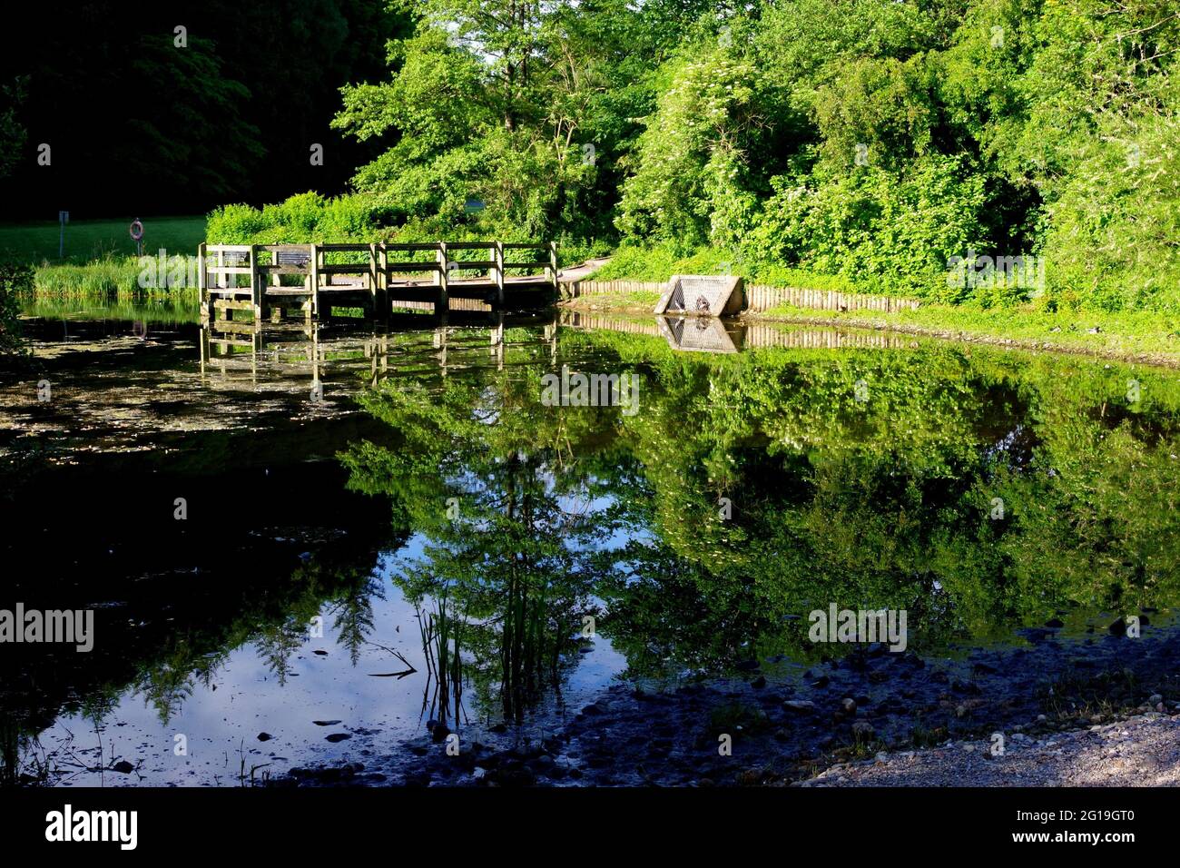 Fantastic lake in wooded area Parc Menai Bangor North Wales Stock Photo ...