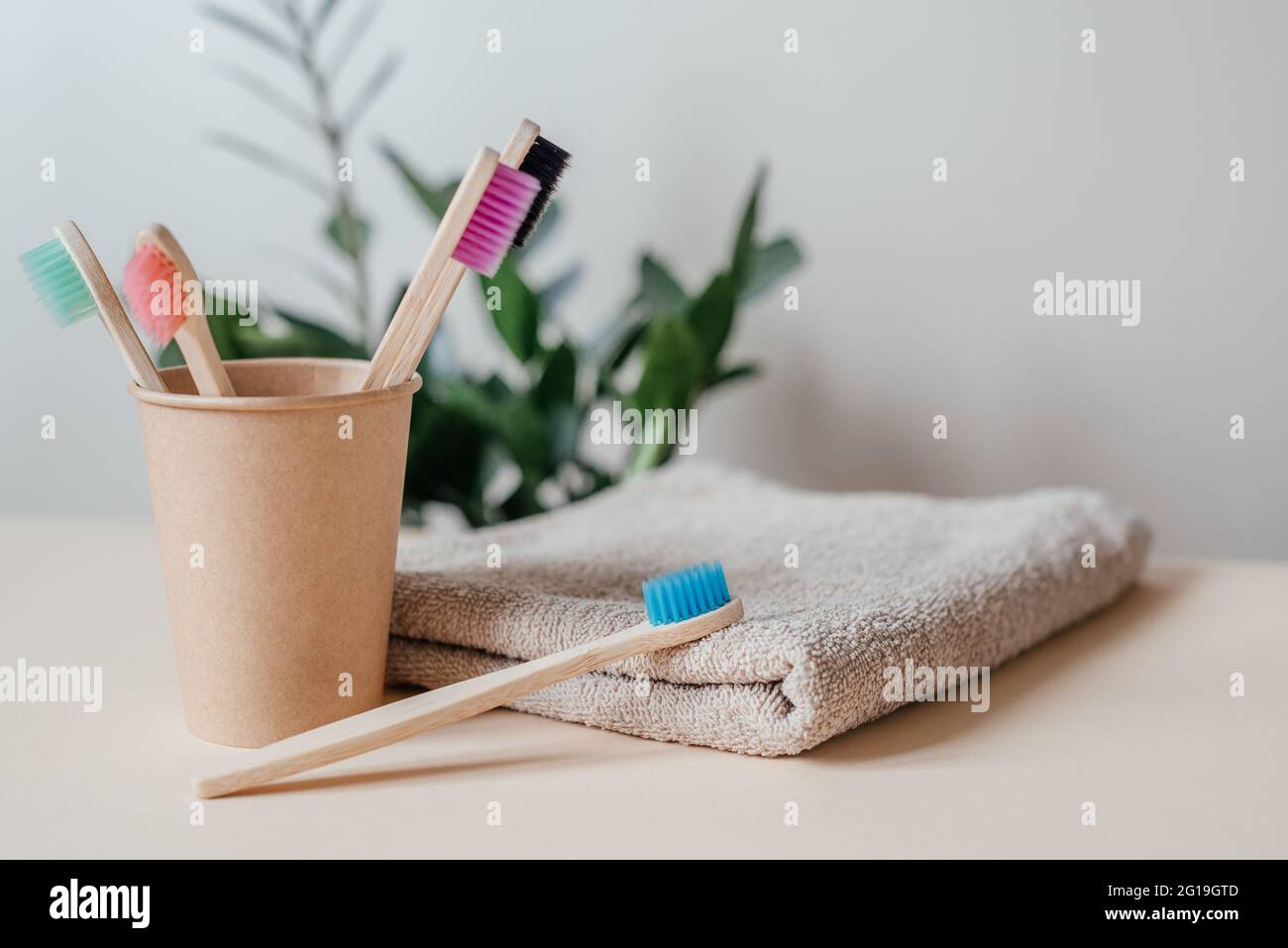 Eco friendly bamboo toothbrushes of different colors in paper cup, zero ...