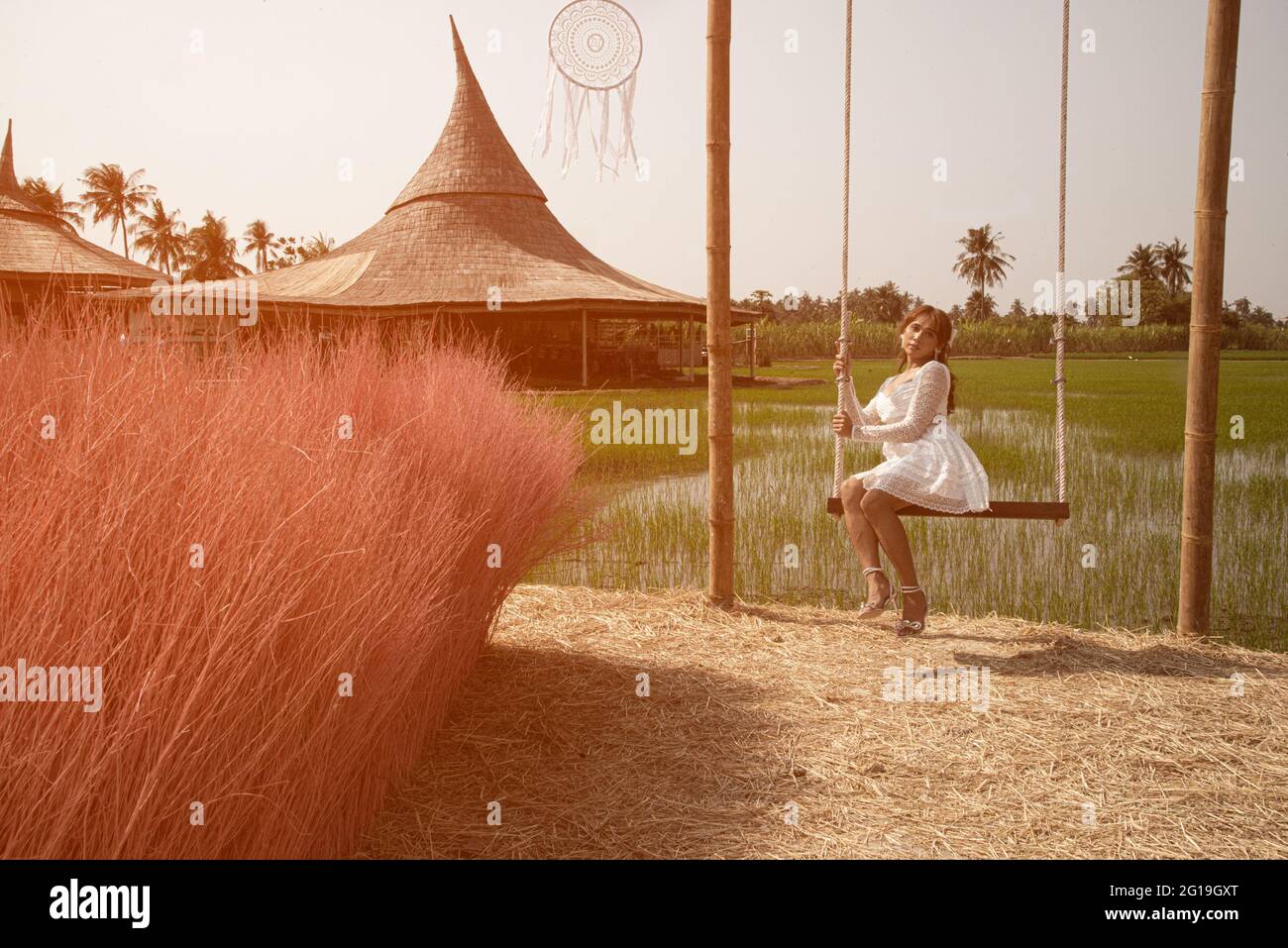 A Young pretty Asian woman is swinging at a swing on the rice field ...