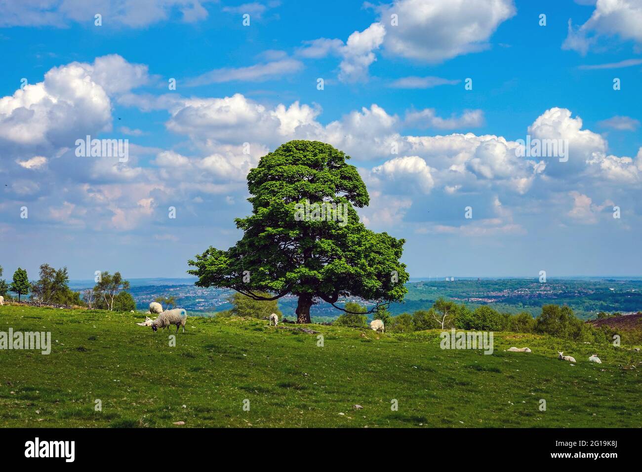 Summer in Sheffield, South Yorkshire, North of England, UK Stock Photo ...