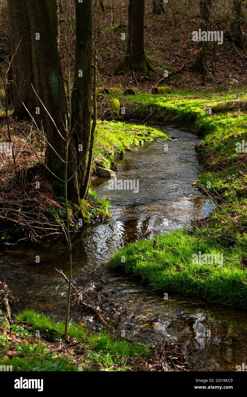 Flowing streamlet hi-res stock photography and images - Alamy